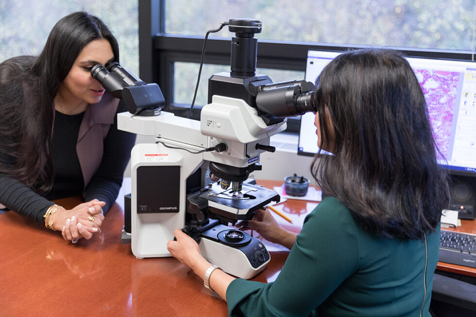 Medical & Scientific Team | Cairo Diagnostics