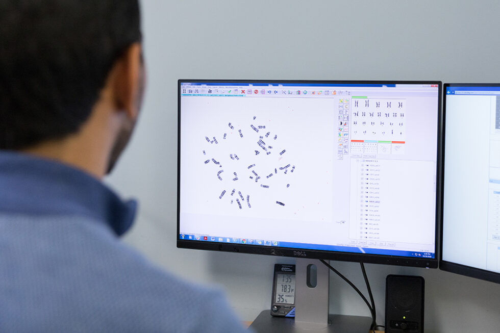 Cytogenetics / FISH | Cairo Diagnostics